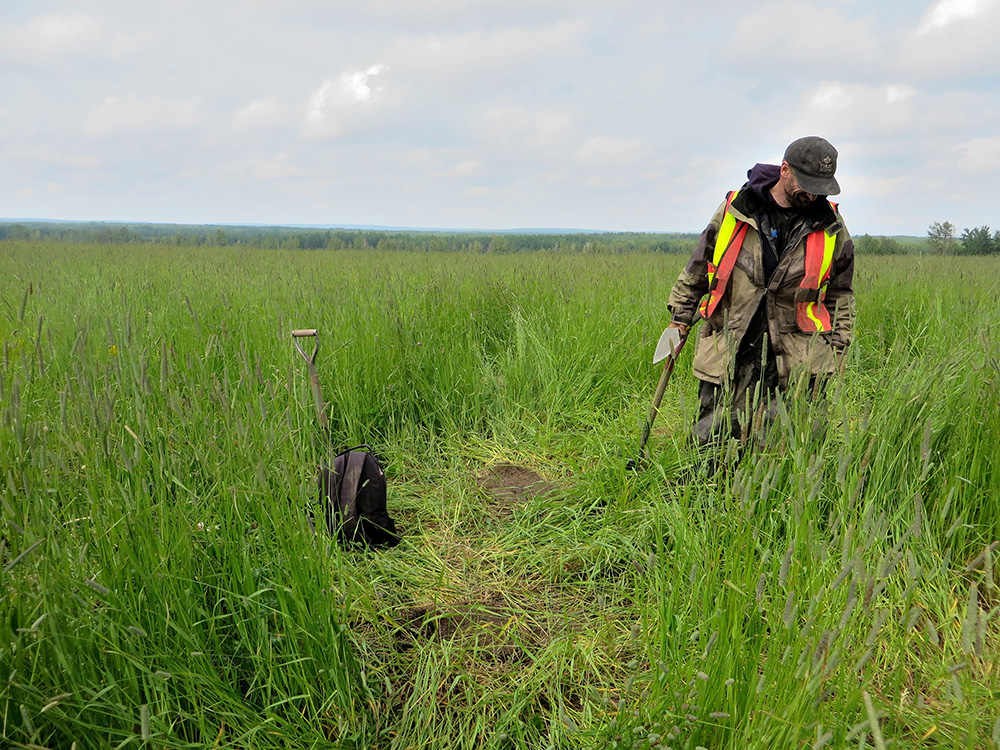 Pollen Analysis & Palaeoenvironmental Interpretation | Archaeological ...