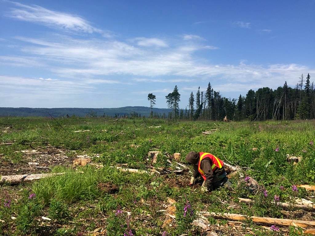 Post Impact Assessment (POST) | Archaeological Consulting Services ...